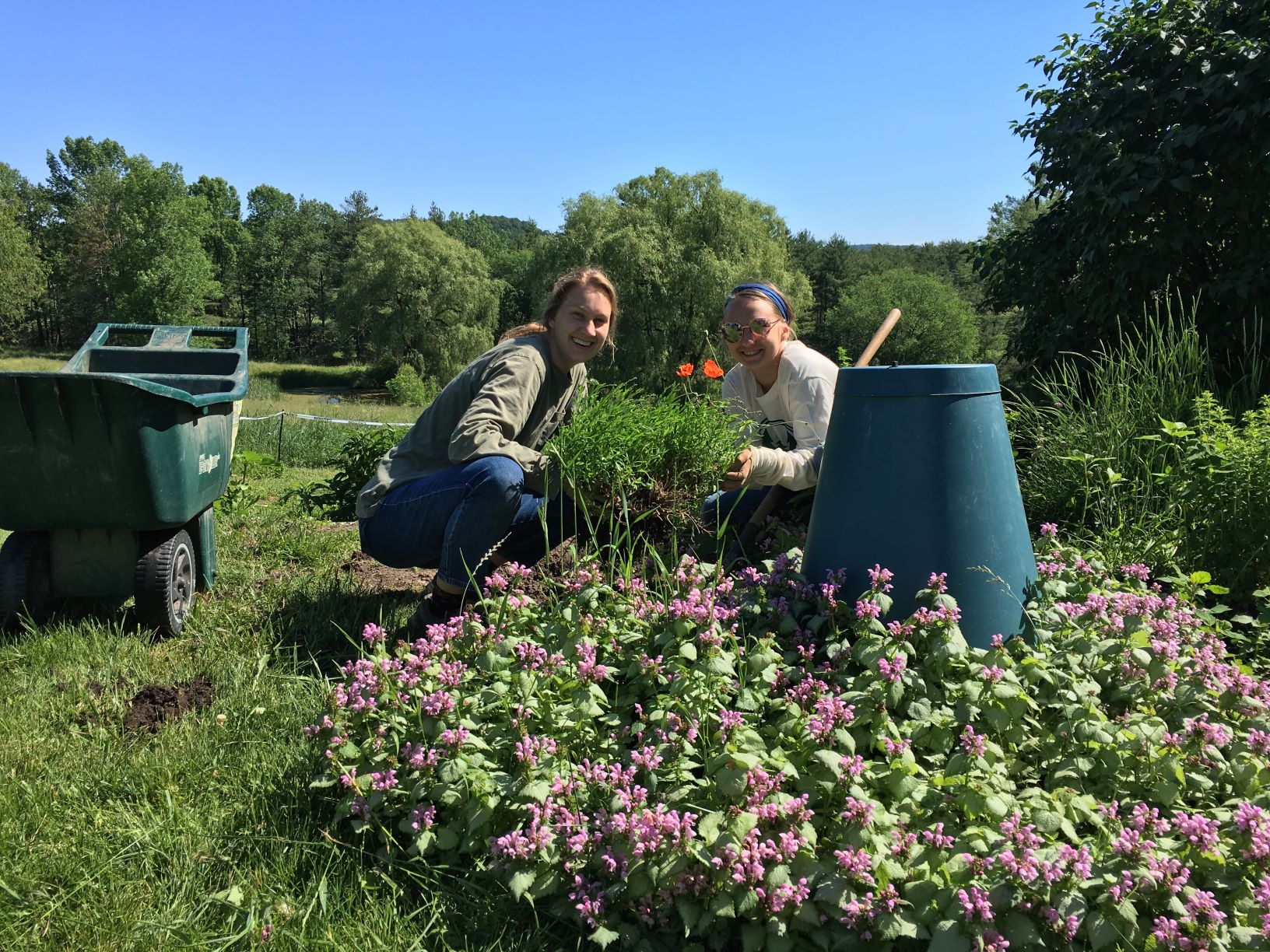 Short Term Volunteers : Mercy Volunteer Corps